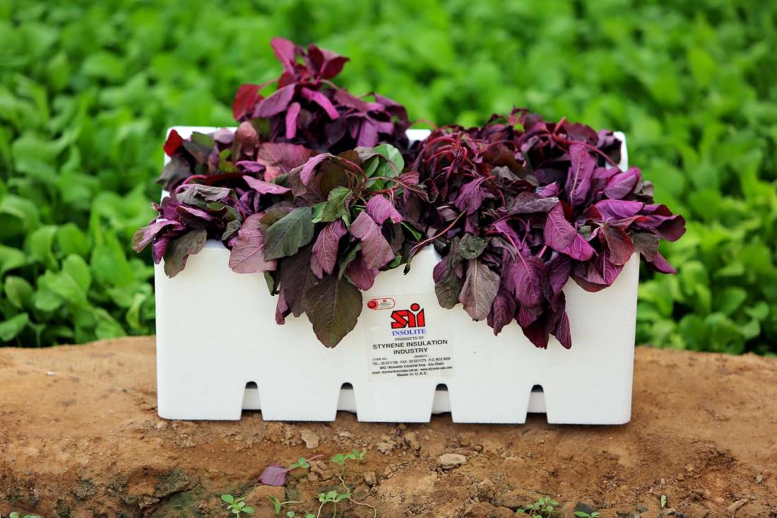 Why Styrene Vegetable Boxes are Ideal for Farmers Markets