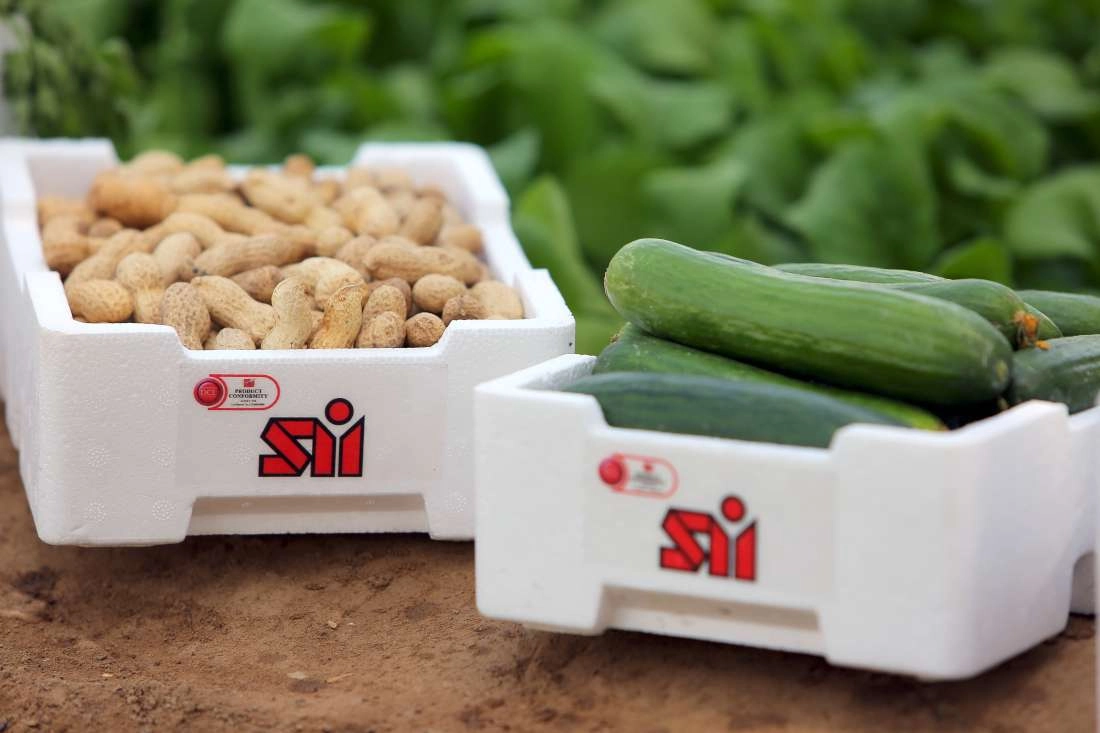 Polystyrene box suppliers in UAE