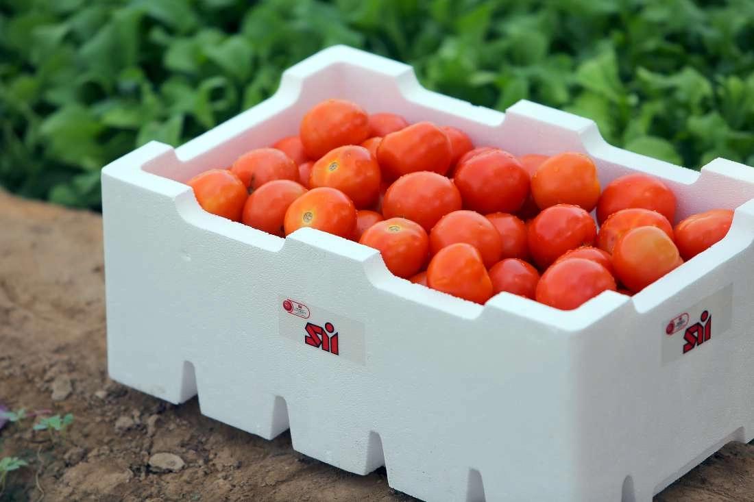 Why Polystyrene Boxes Are the Best Choice for Storing Fresh Vegetables ...