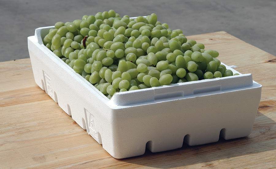Benefits of Using Polystyrene Boxes for Storing Fresh Produce